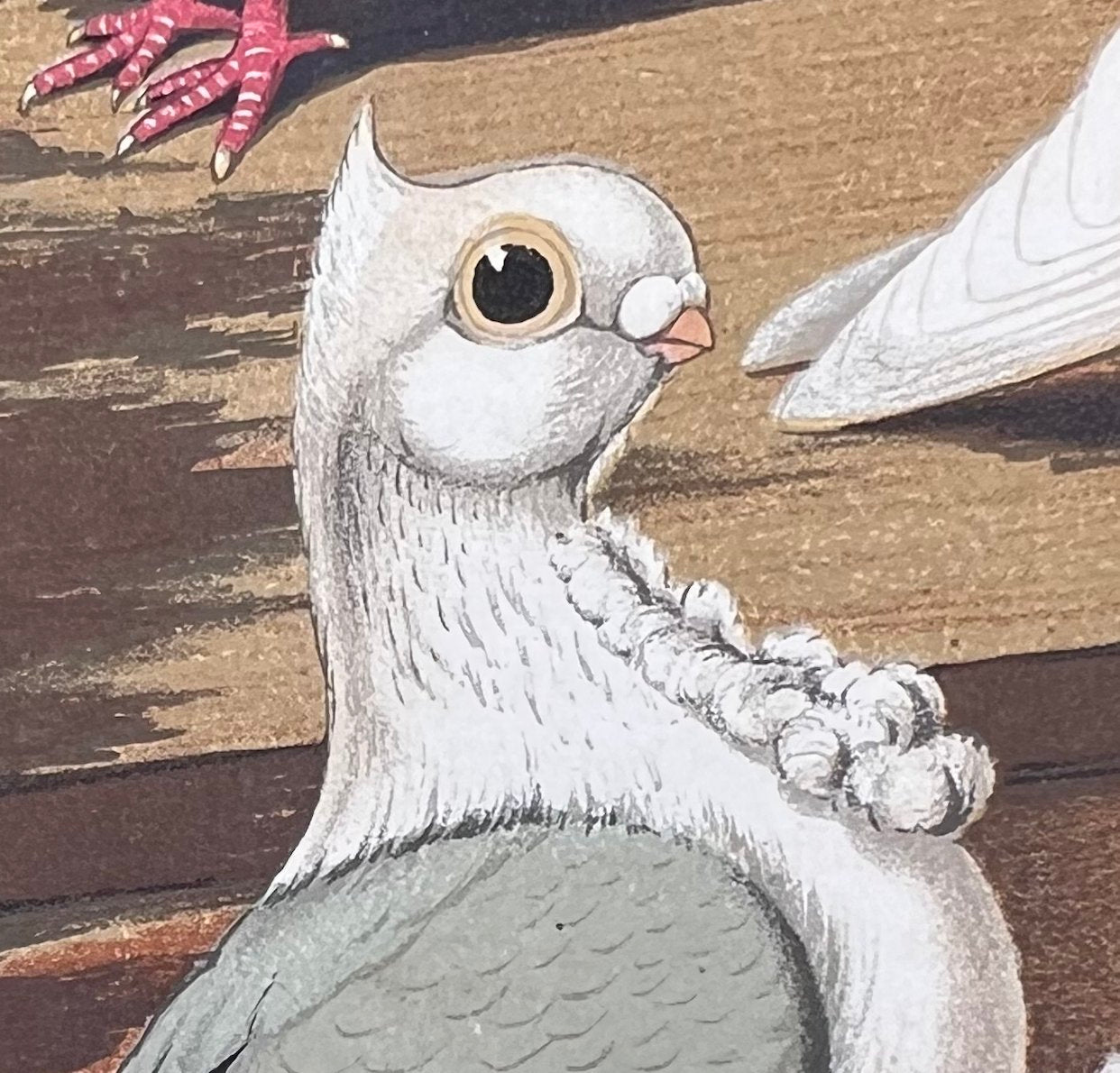 Meetings with Remarkable Animals – Mobilis Books