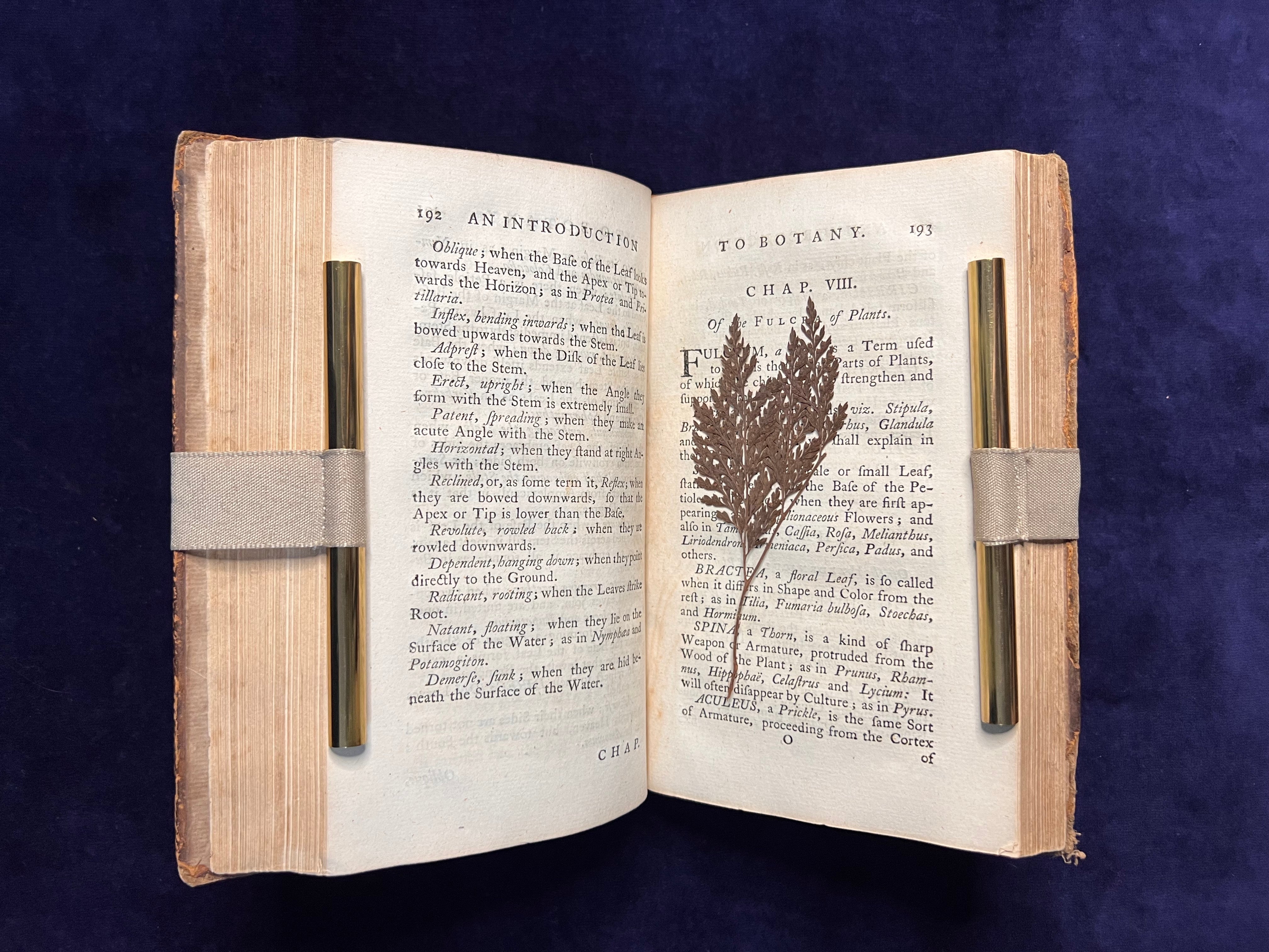 Natural History – Mobilis Books